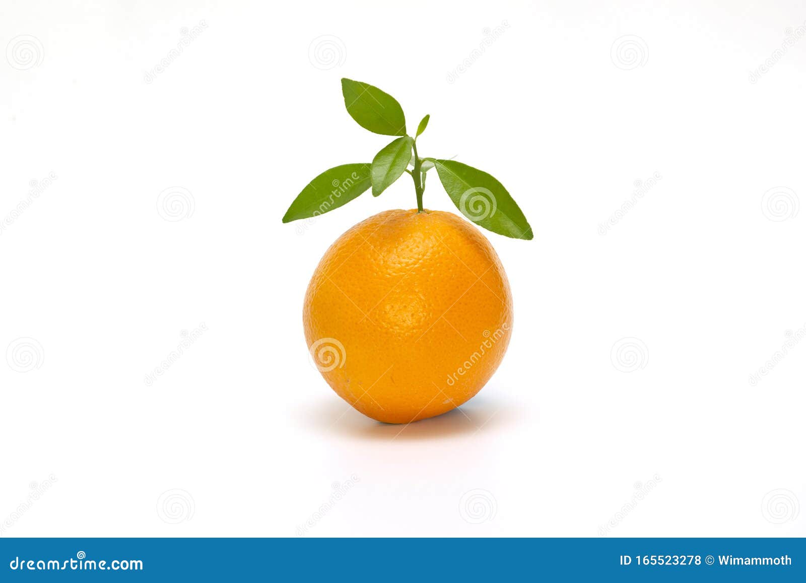 Orange fruit with leaves stock photo. Image of leaf - 165523278