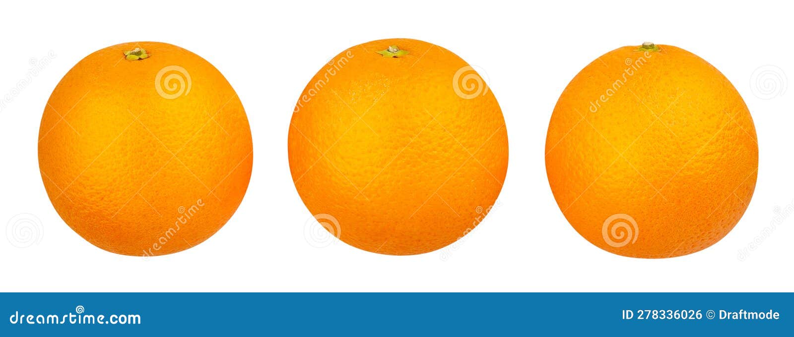 Orange fruit path isolated stock photo. Image of path - 278336026