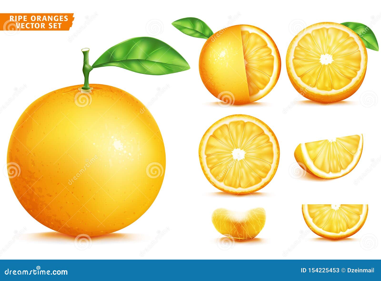 Orange Fruit Ripe Realistic 3D Vector Food Set. Whole Half and Sliced ...