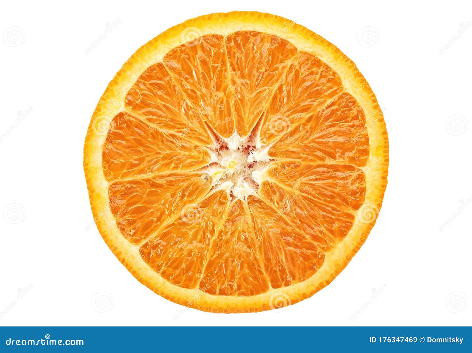 Orange Fruit. Round Slice Isolated on White Background. Top View Stock ...