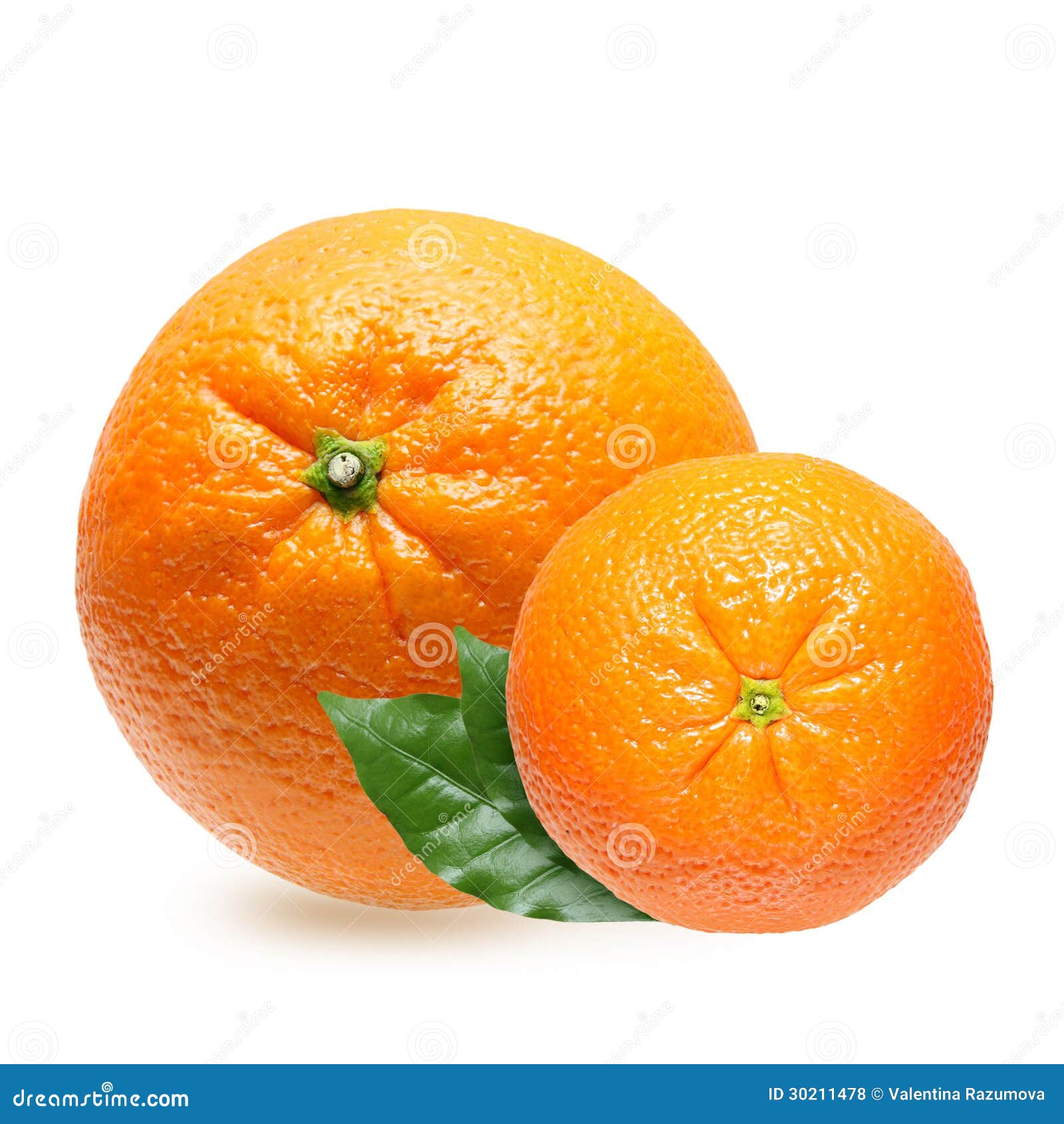 Orange Fruit and Tangerine. Stock Photo - Image of color, closeup: 30211478