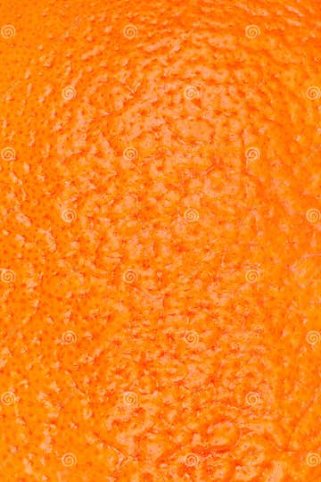 Orange fruit texture stock image. Image of macro, isolated - 14077081