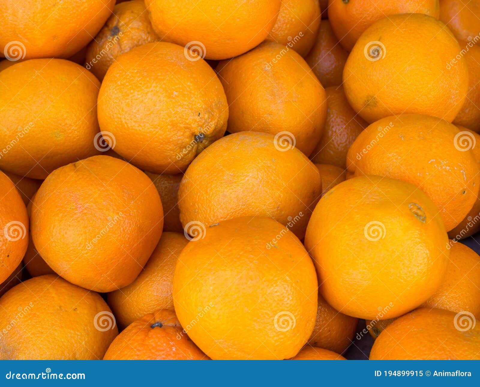 Orange Fruit Texture stock image. Image of background - 194899915