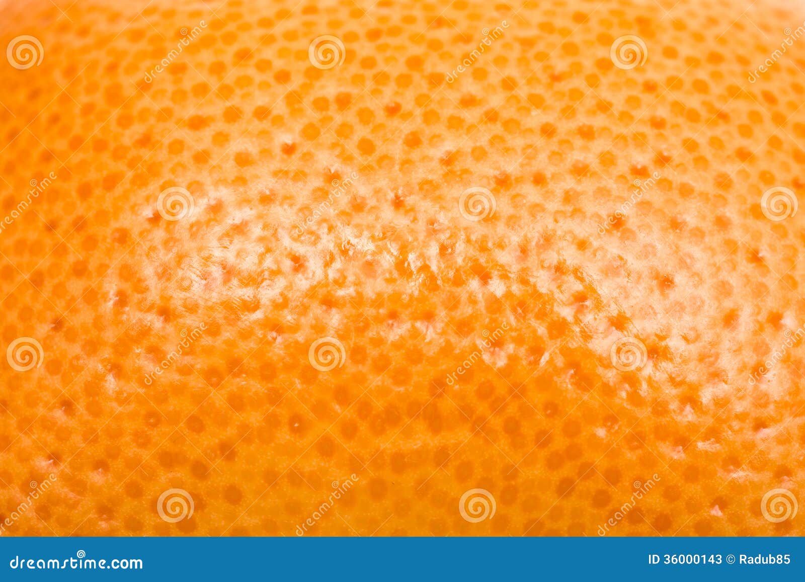 Orange Fruit Texture stock image. Image of gourmet, studio - 36000143