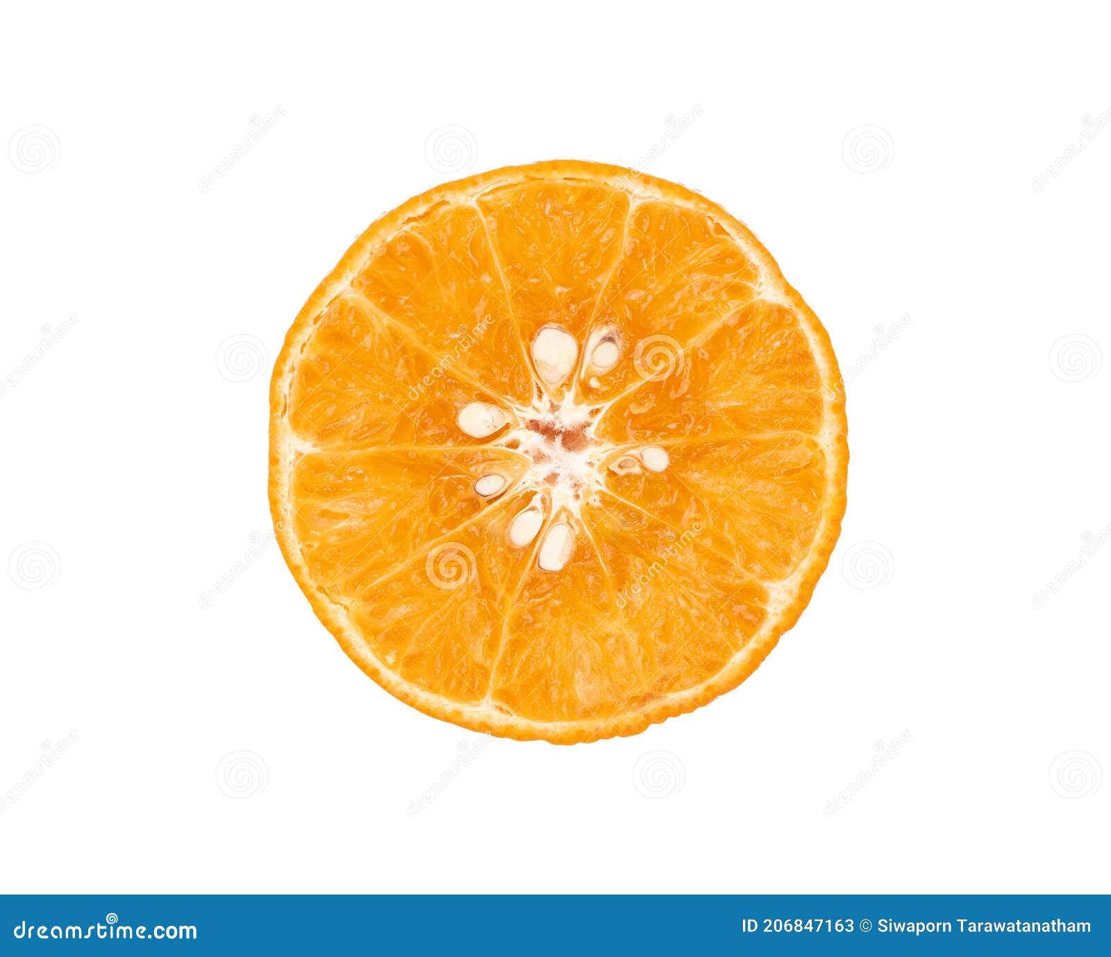 Orange Fruit Top View on White Background Stock Image - Image of ...