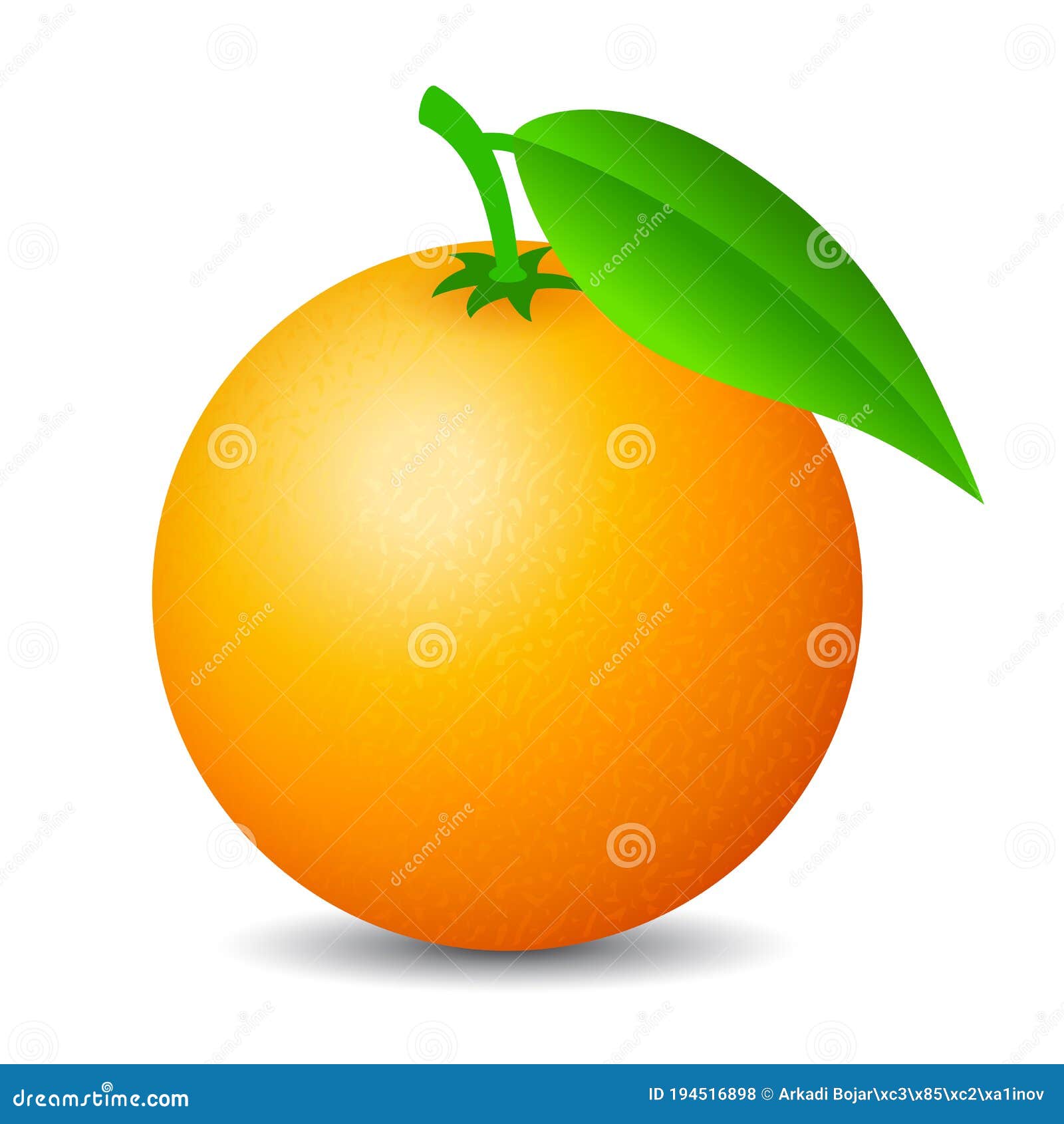 Orange Fruit Vector Cartoon Stock Vector - Illustration of garden ...