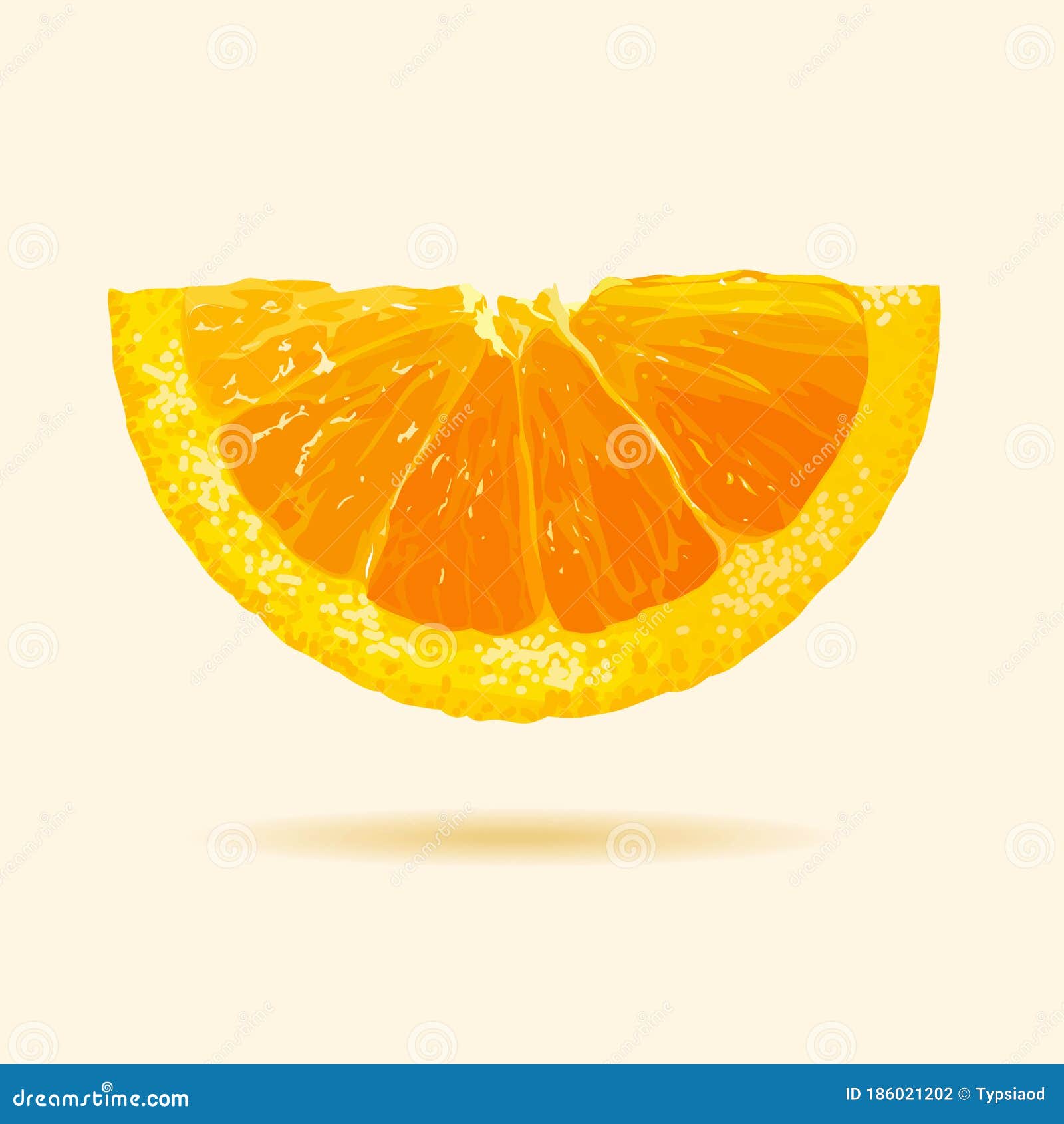 Orange split into pieces. stock vector. Illustration of drinks - 186021202