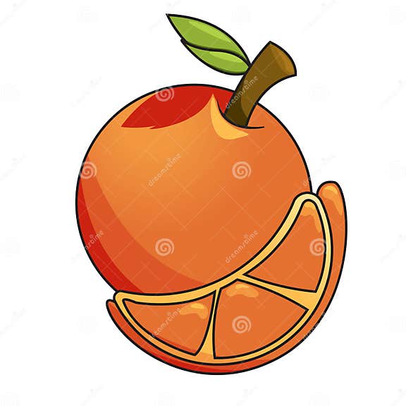 Vector Design of a Whole Orange Fruit Along with Its Leaves and Part of ...