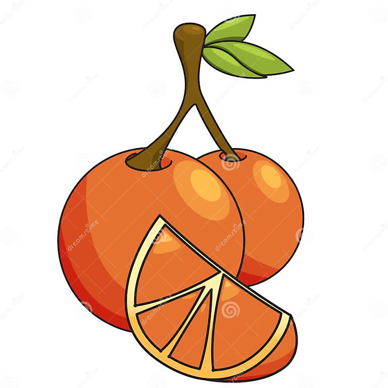 Vector Design of Fruit Along with Its Leaves and Stalks and Cut Off One ...