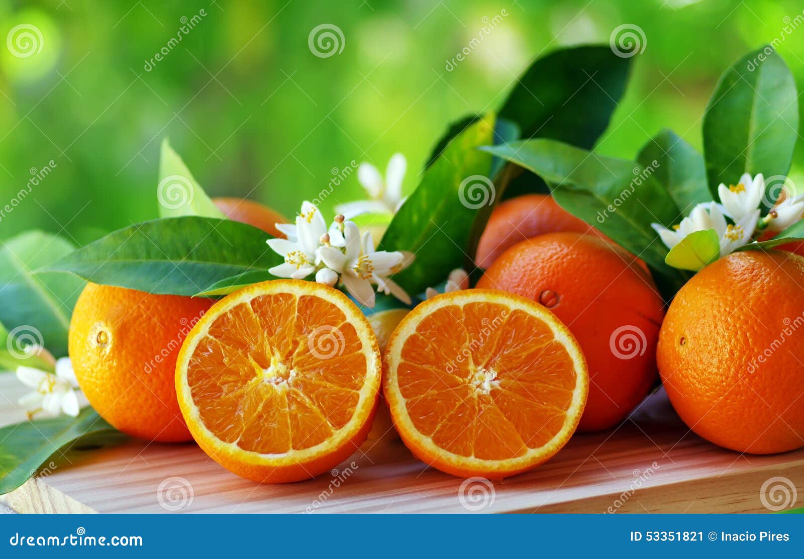 Orange fruits and flowers stock image. Image of flower - 53351821