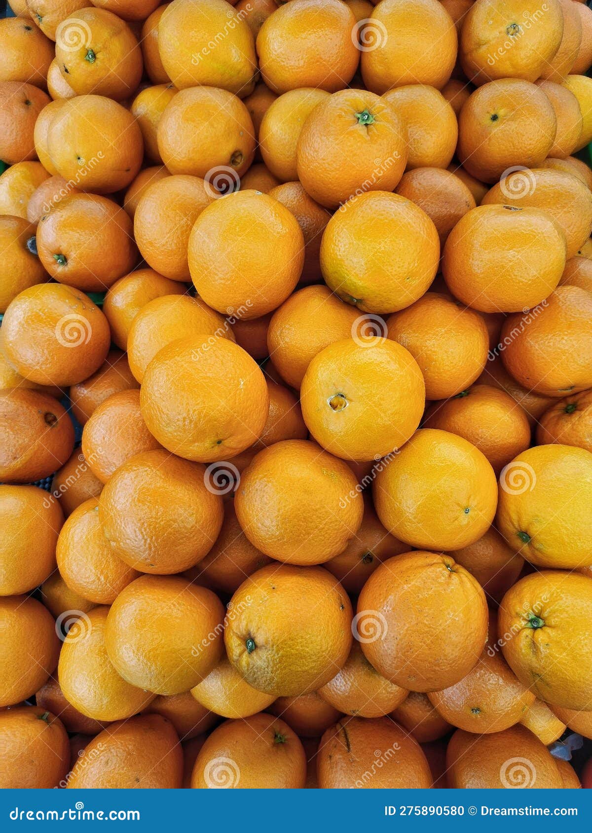 Orange Orange Fruits is Freshing Stock Photo - Image of city, cloud ...