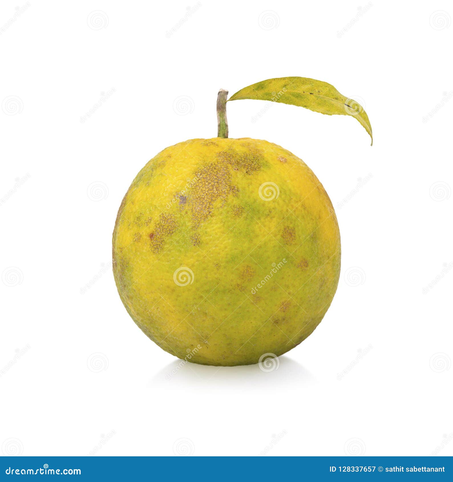 Orange Fruits, Orange Withered on White Background Stock Image - Image ...