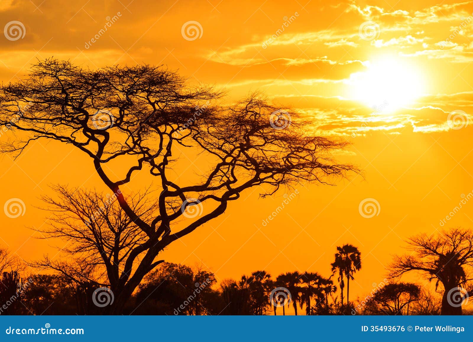 Orange Glow of an African Sunset Stock Photo - Image of dawn, beautiful ...