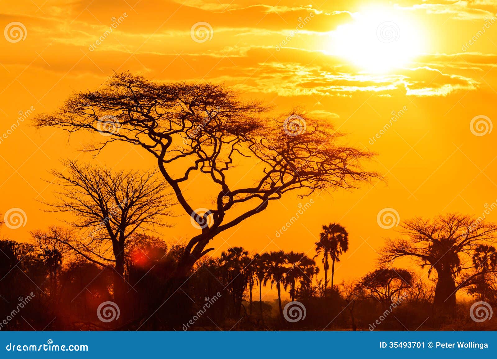 Orange Glow of an African Sunset Stock Image - Image of destination ...