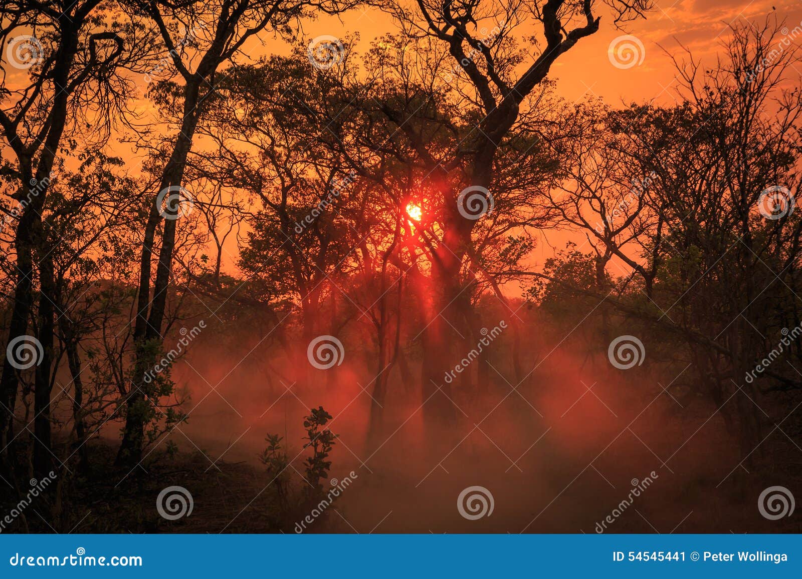 Orange Glow Of An African Sunset Royalty-Free Stock Photography ...