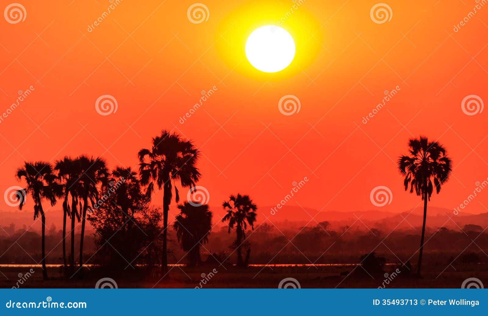 Orange Glow Sunset in a African Landscape Stock Image - Image of ...