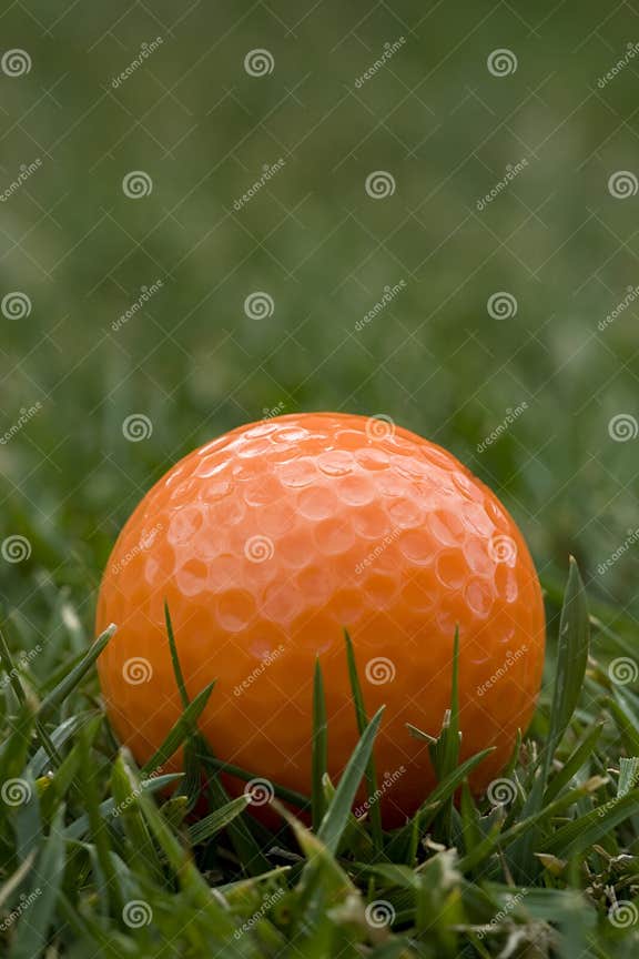 Orange Golf Ball stock image. Image of golf, game, orange - 23300669