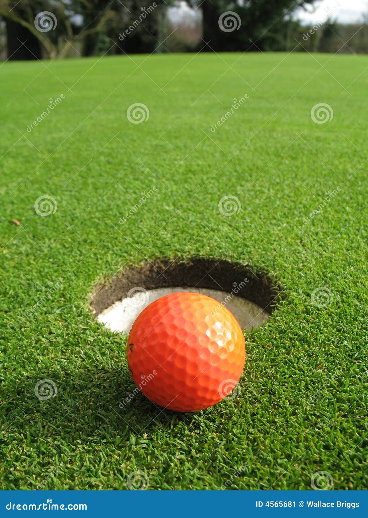 Orange golf ball stock image. Image of putt, retirement - 4565681