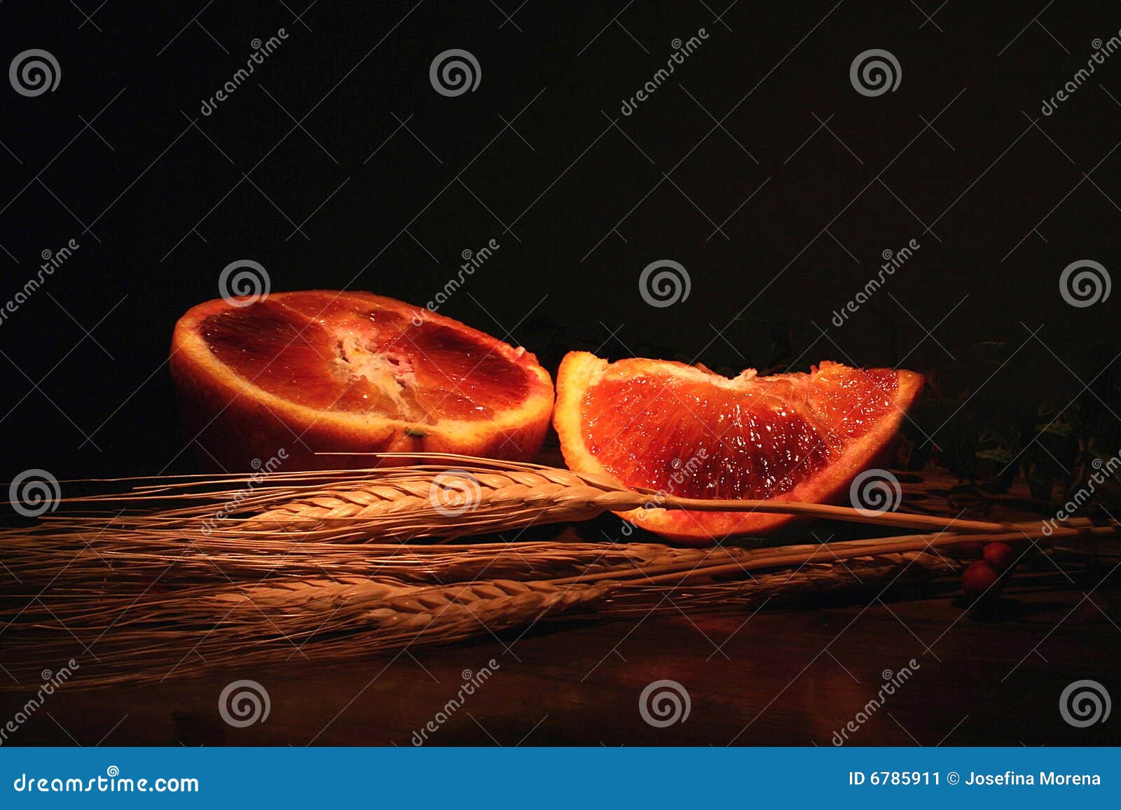 Orange grain composition stock image. Image of drawing - 6785911