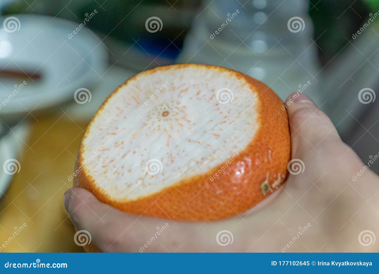 Orange Grapefruit in Man Hand Stock Image - Image of holding, healthy ...