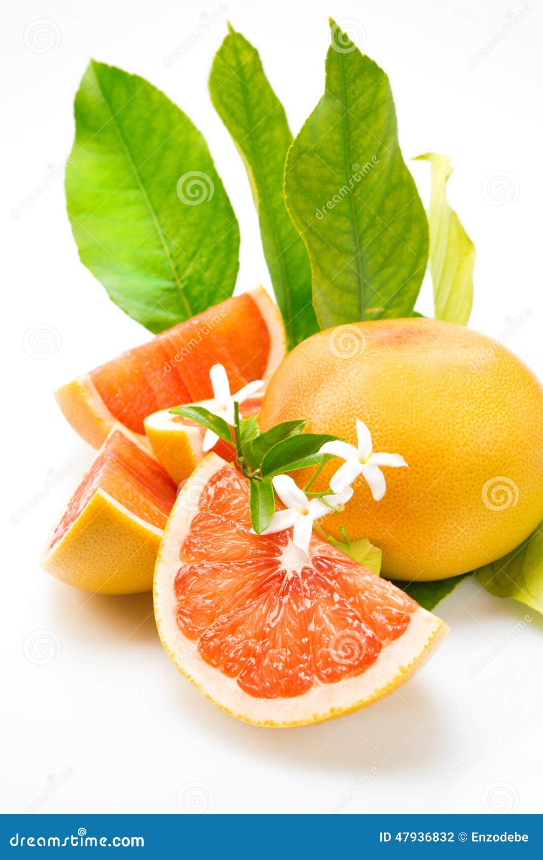 Orange and grapefruit stock photo. Image of healthy, refreshing - 47936832