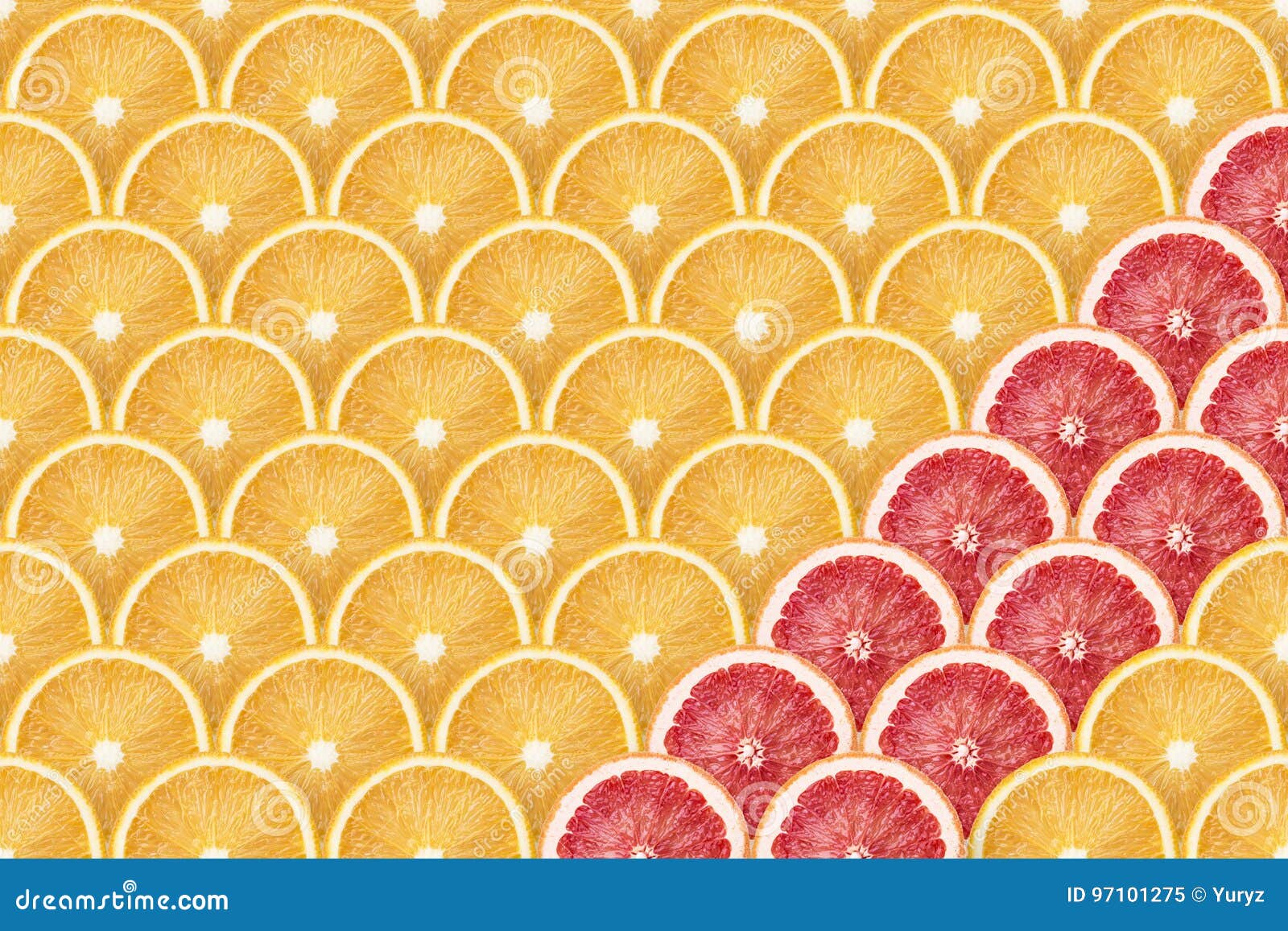 Orange and Grapefruit Slices Pattern Stock Image - Image of yellow ...