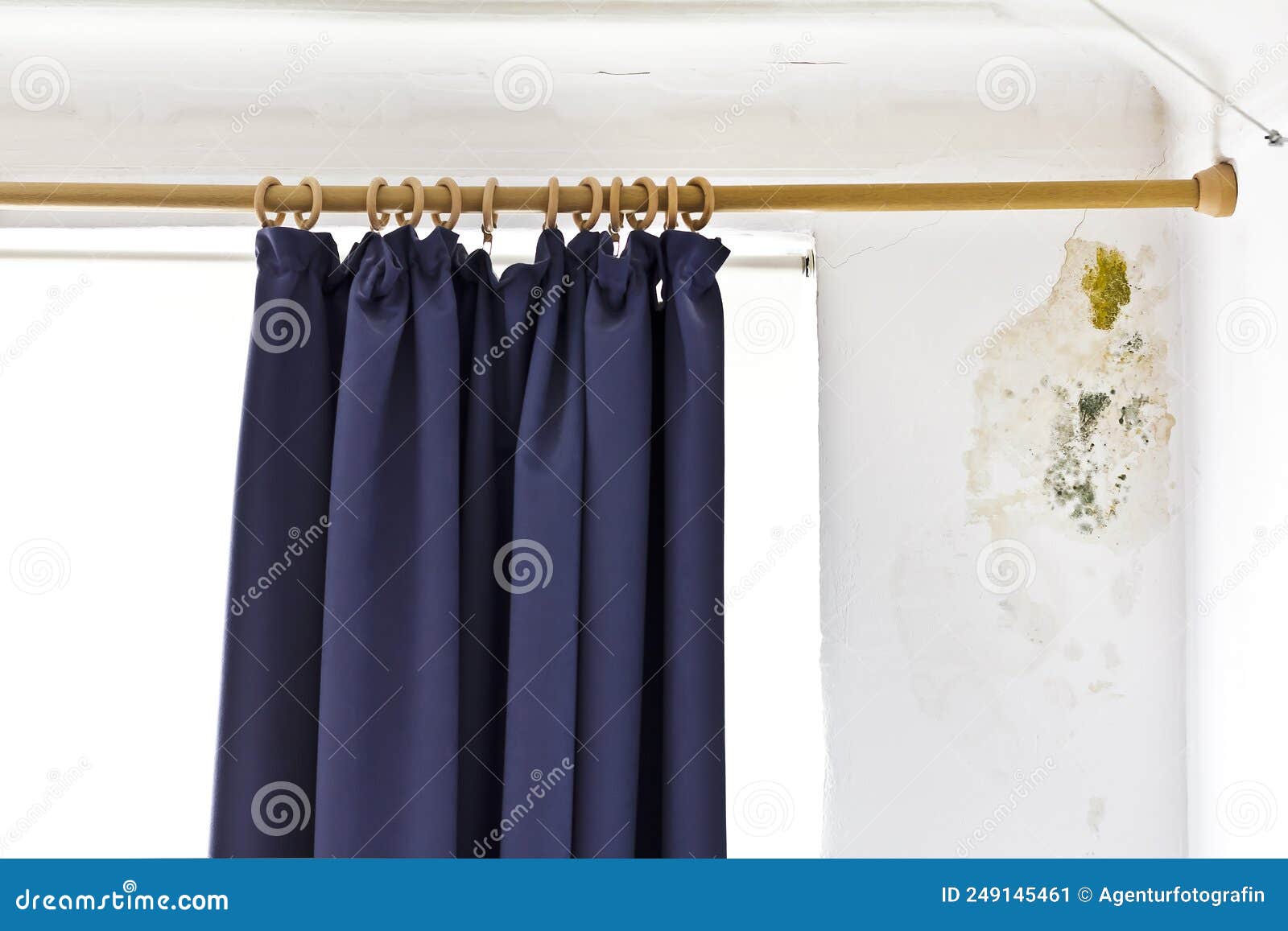 Mold Mildew Fungus External Wall Stock Image - Image of mould, spores ...