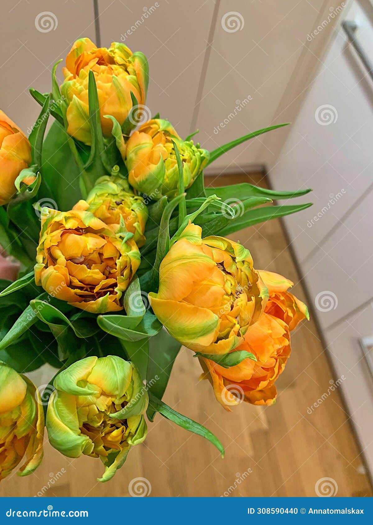 Tulips And Fresh Blooming Terry Yellow Shallow-crowned Narcissus Double ...