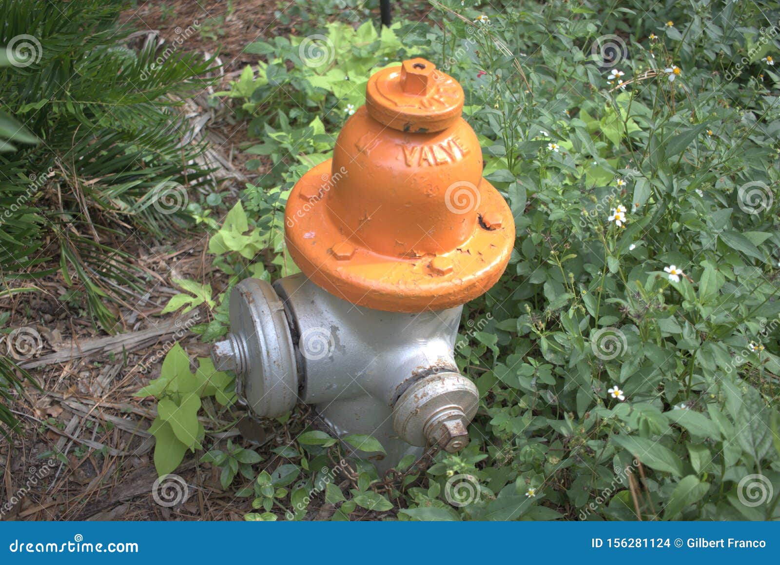 Orange and Grey Fire Hydrant. Stock Photo - Image of orange, florida ...