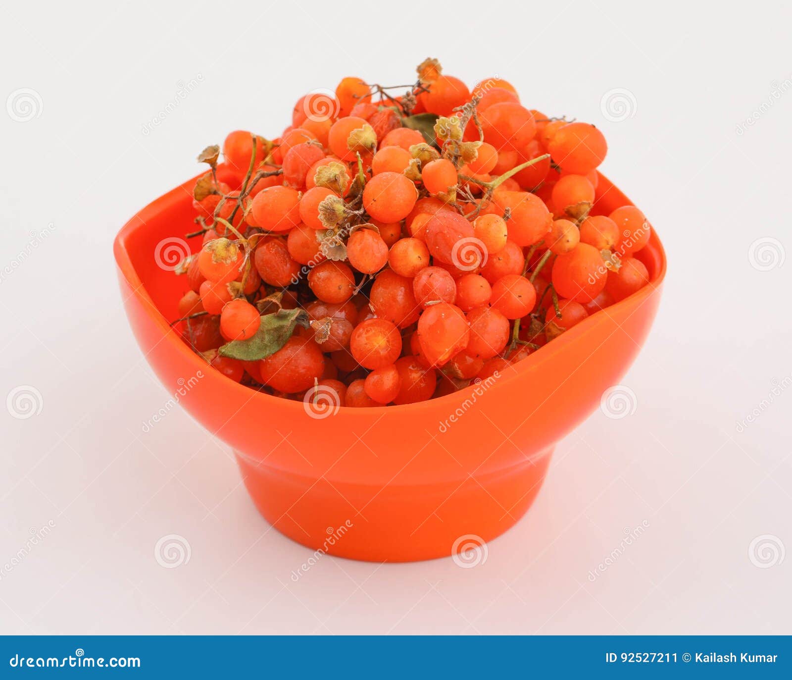 Orange gumberry stock image. Image of care, healthy, isolated - 92527211