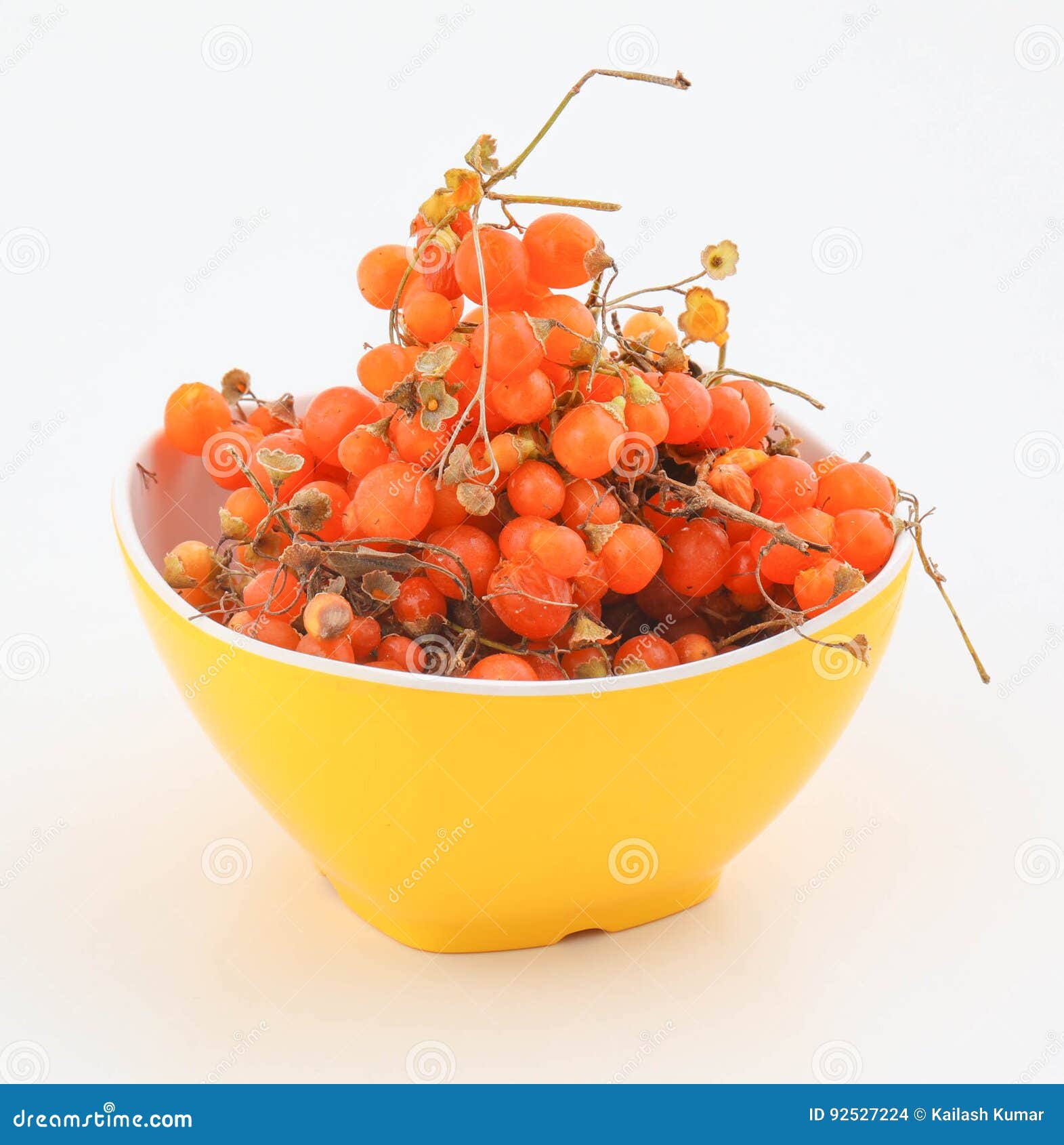 Orange gumberry stock photo. Image of agriculture, gunda - 92527224