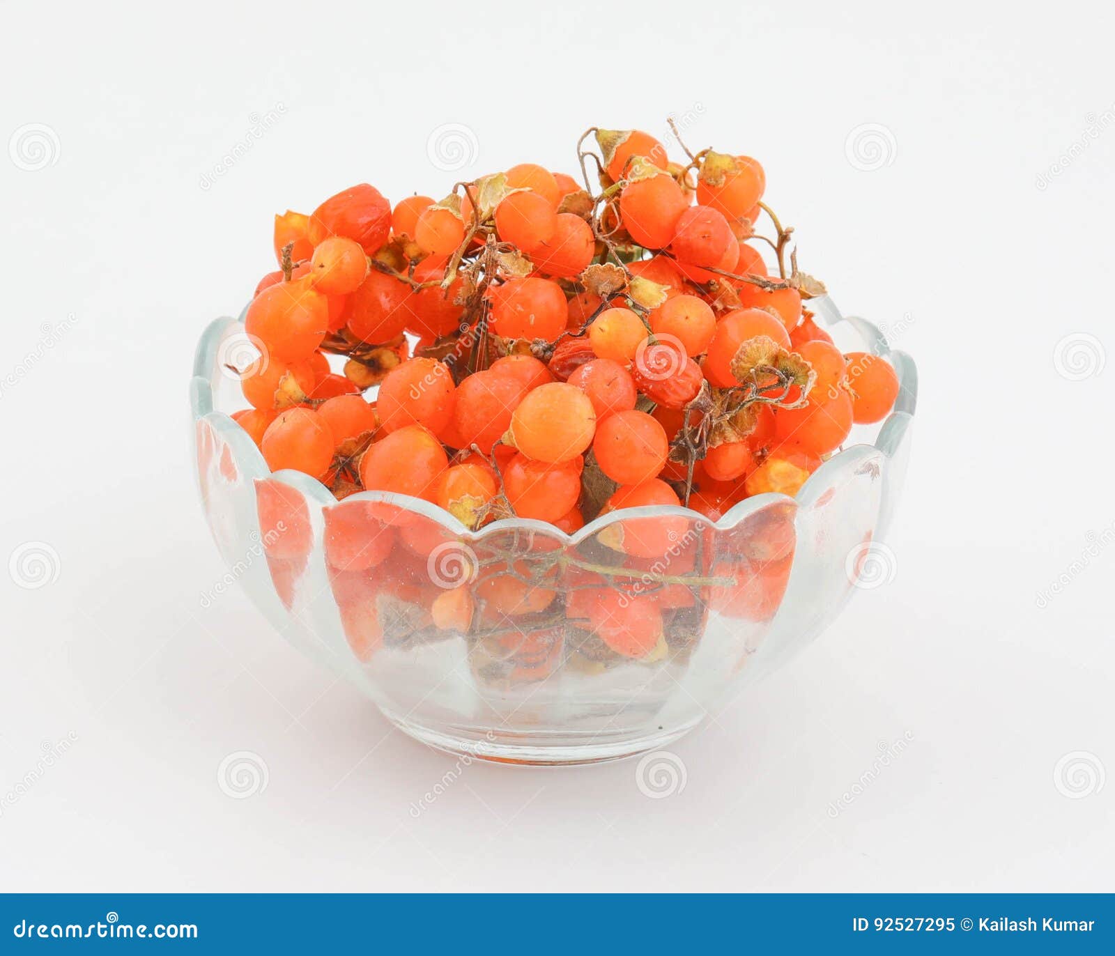 Orange gumberry stock image. Image of greenhouse, healthy - 92527295