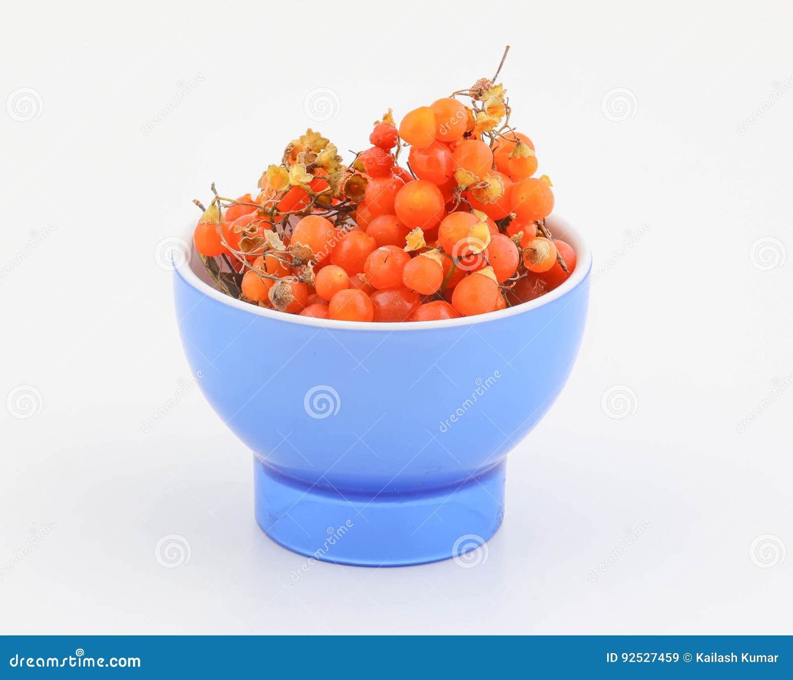 Orange gumberry stock image. Image of ingredient, closeup - 92527459