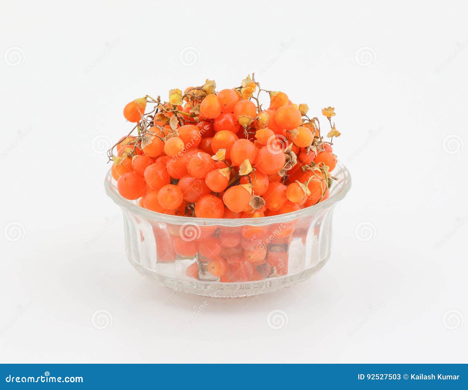 Orange gumberry stock image. Image of greenhouse, agriculture - 92527503