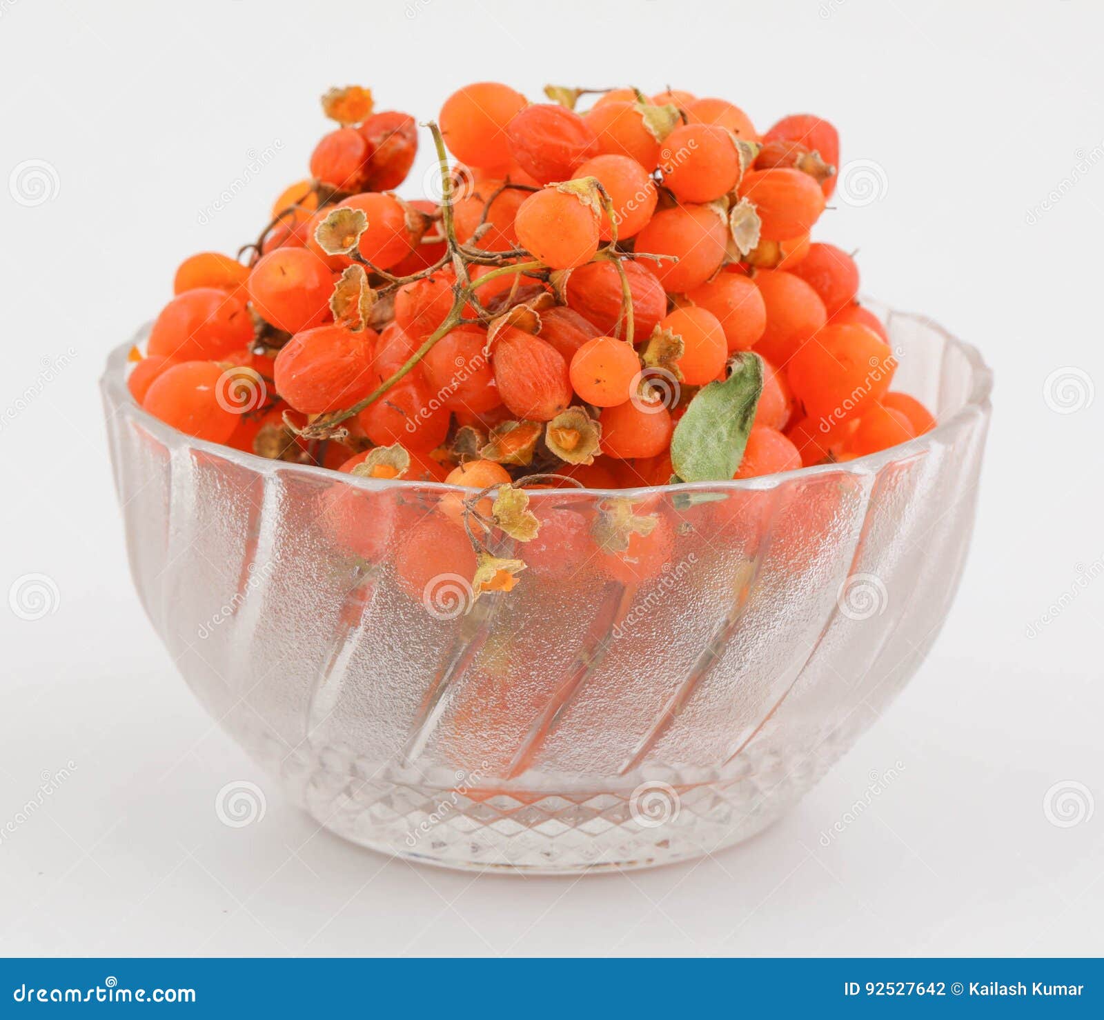 Orange gumberry stock photo. Image of indian, closeup - 92527642