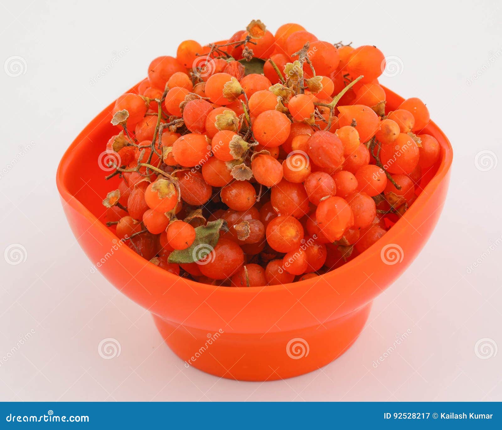 Orange gumberry stock image. Image of herbal, cherry - 92528217