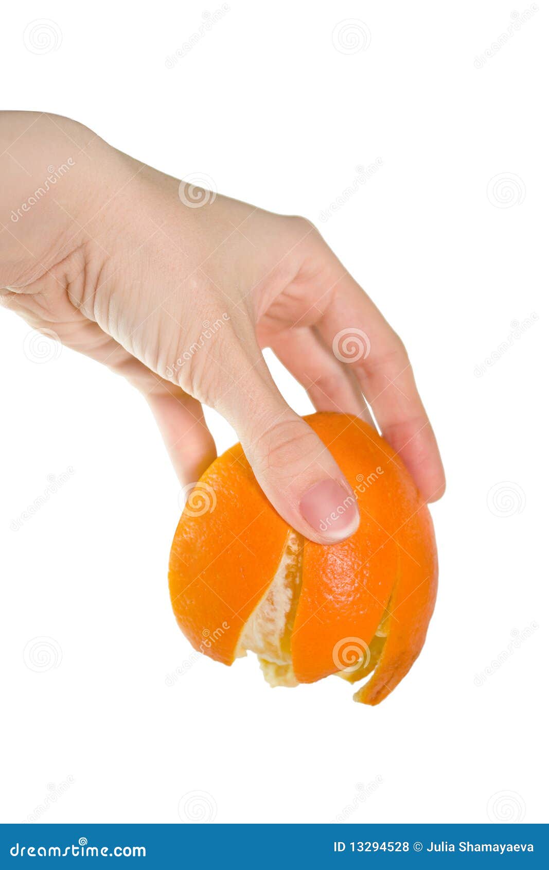 Orange in hand stock photo. Image of peel, mandarin, nature - 13294528