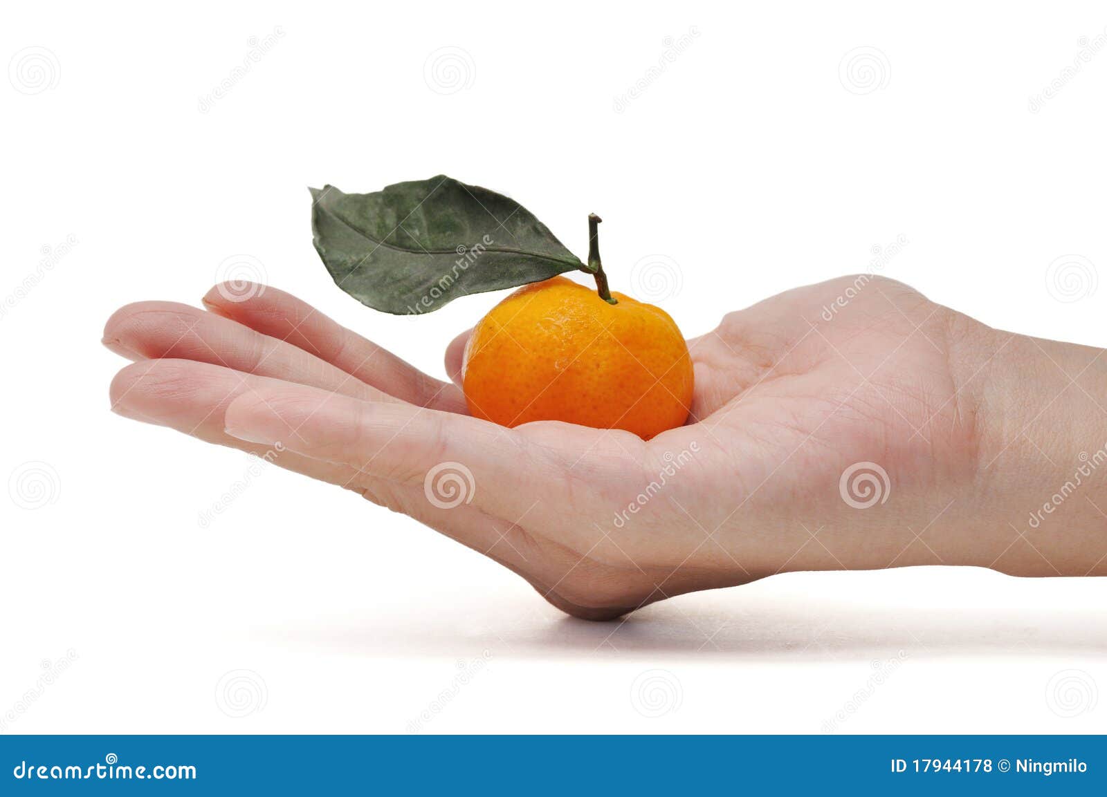 Orange in hand stock photo. Image of citrus, perfect - 17944178
