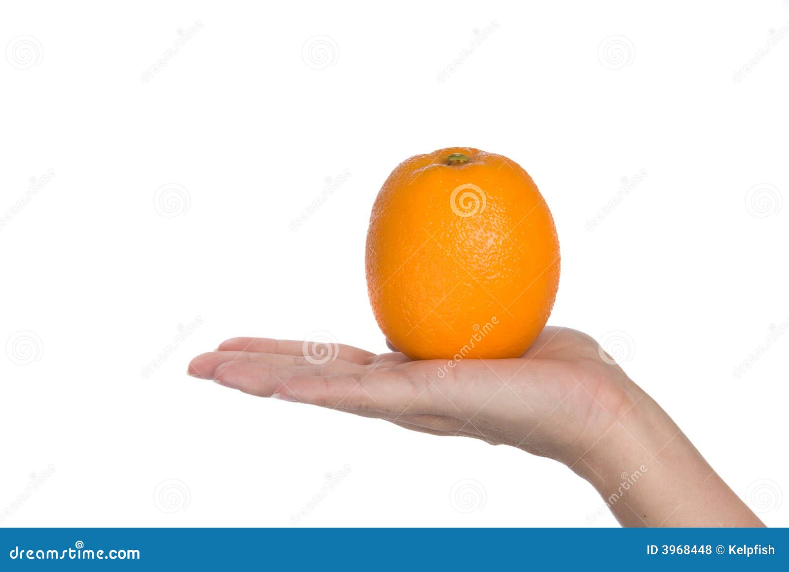 Orange in hand stock photo. Image of citrus, hand, diet - 3968448