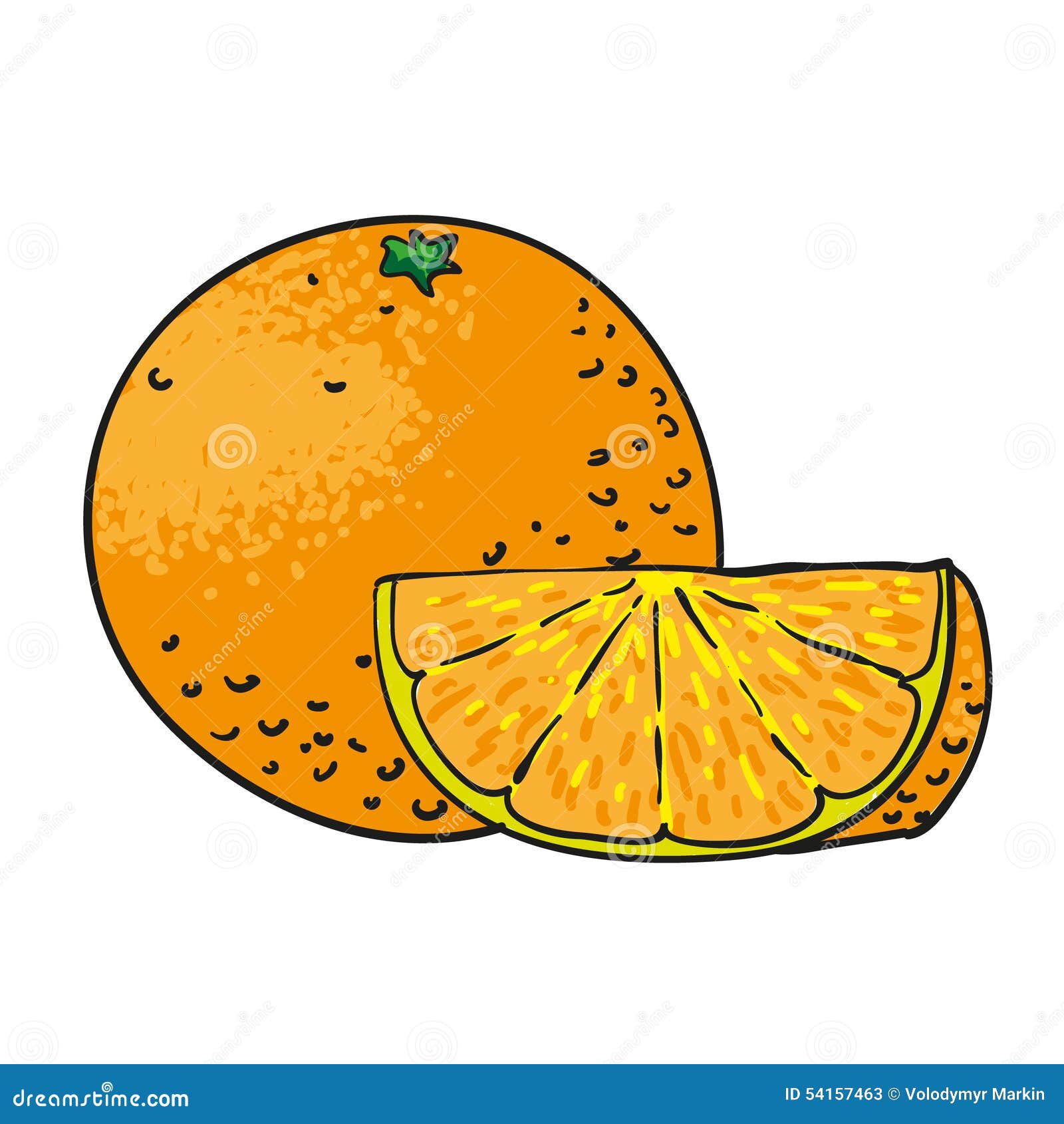 Orange Hand Drawn Fruits Isolated Stock Illustration - Illustration of ...