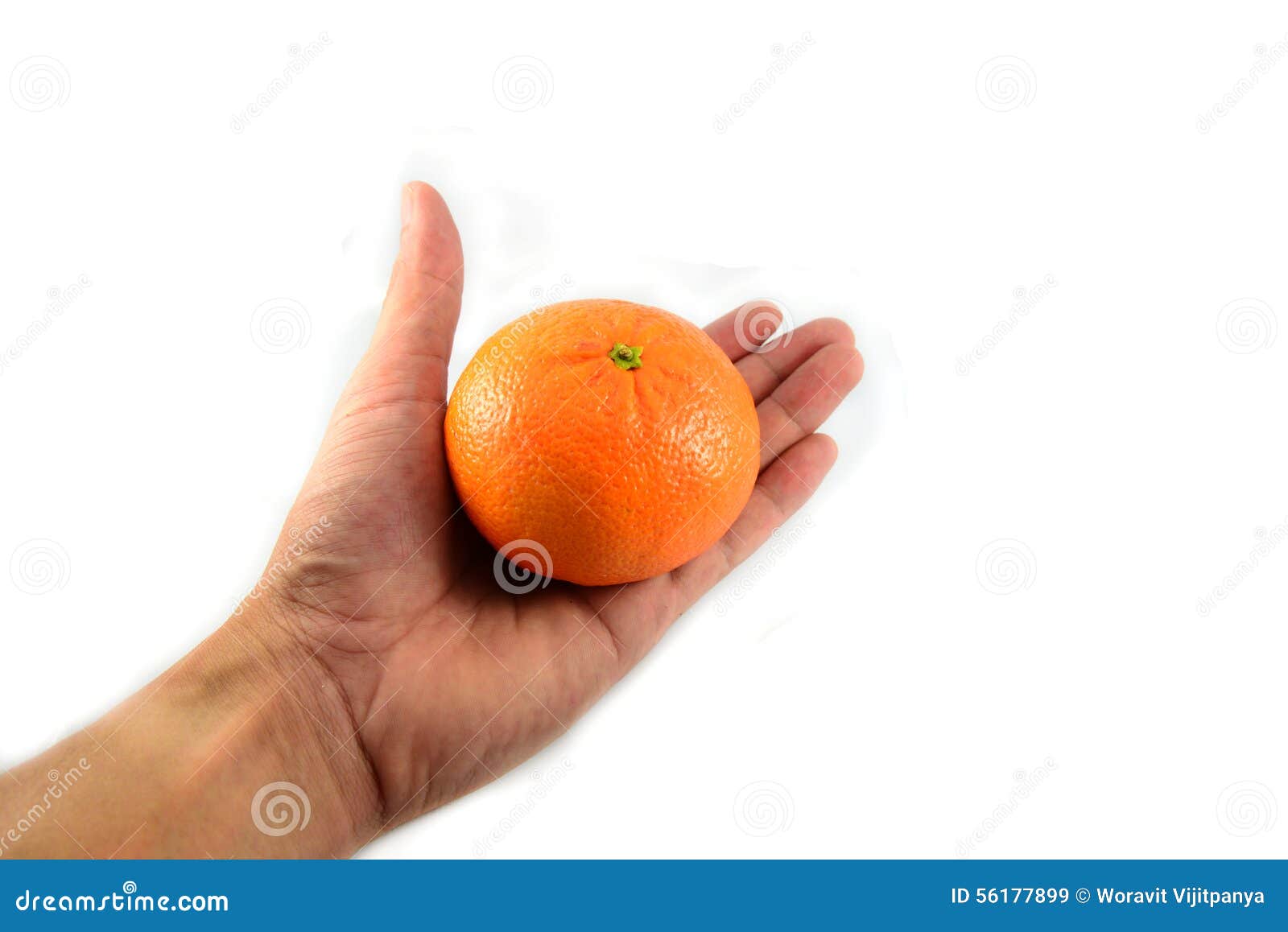 Orange in hand stock image. Image of fruit, nature, health - 56177899