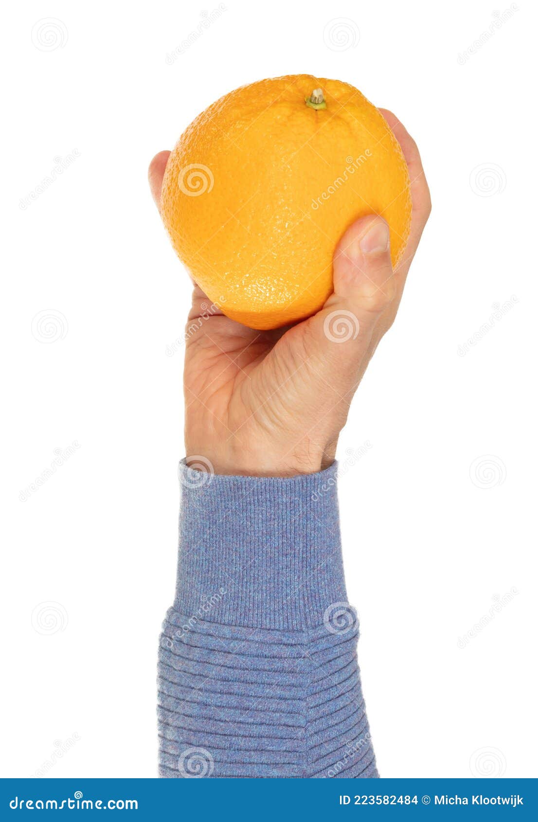 Orange in hand isolated stock photo. Image of female - 223582484