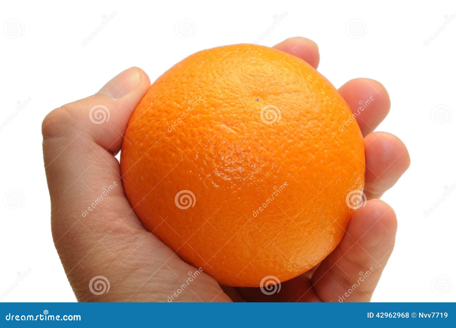 Orange in hand stock photo. Image of white, nature, food - 42962968