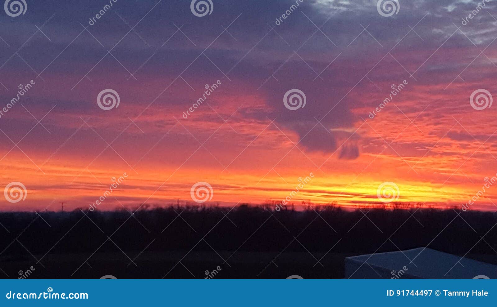 Orange haze stock image. Image of life, orange, sunset - 91744497
