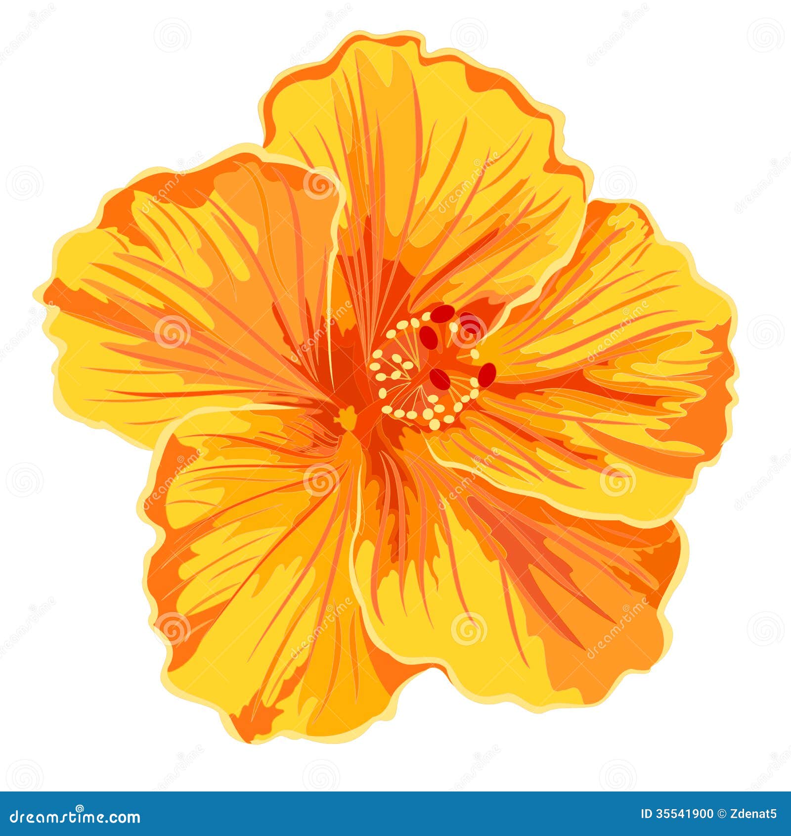 Orange Hibiscus Flower Clipart
