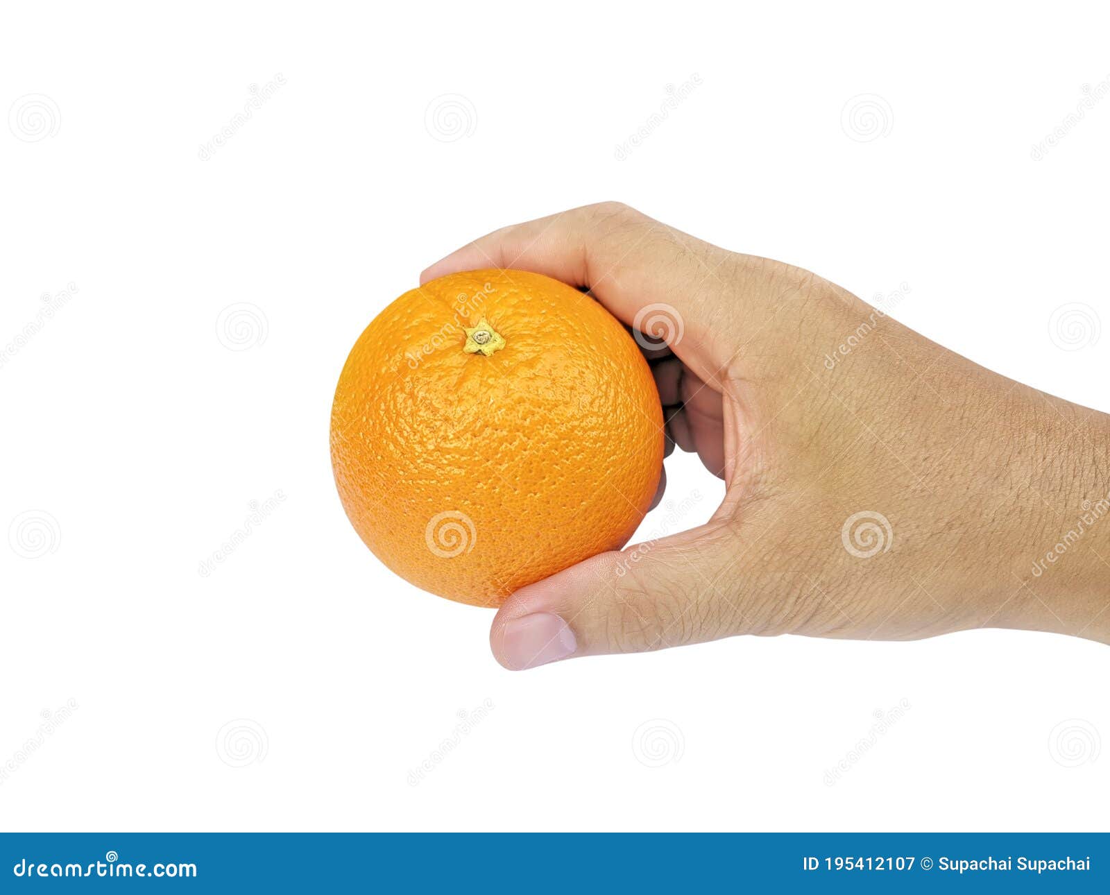 Orange Hold in a Hand on White Background Stock Image - Image of juicy ...