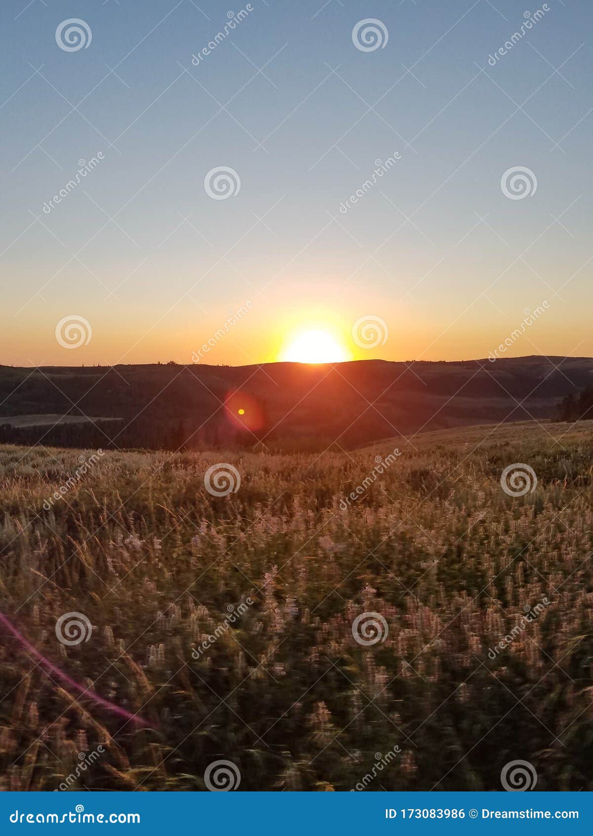 Orange Horizon Sunset Above a Field Stock Photo - Image of field ...