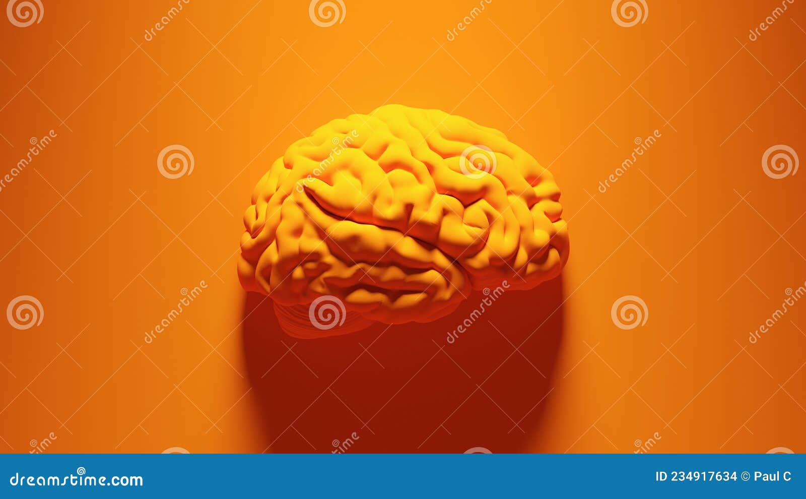 Orange Human Brain Orange Background Stock Illustration - Illustration ...