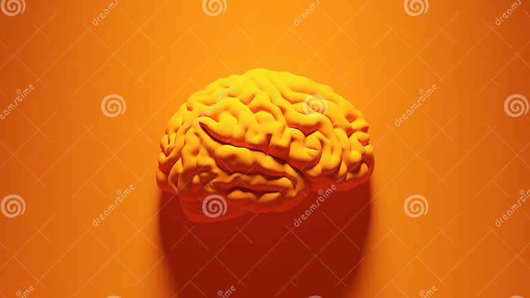 Orange Human Brain Orange Background Stock Illustration - Illustration ...