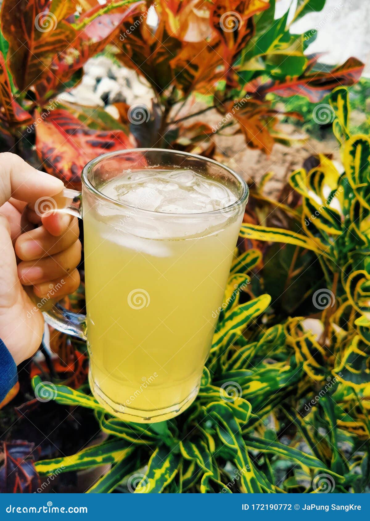 Orange Ice with Very Fresh Ice Cubes Stock Photo - Image of cubes ...